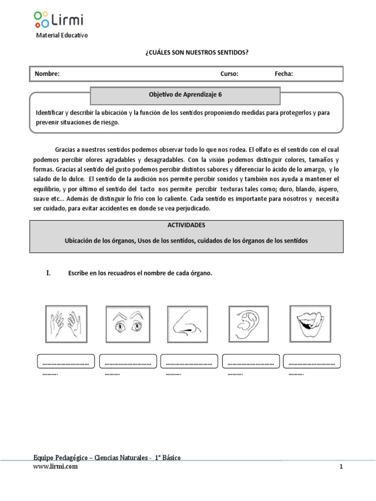 Oa6 LOs Sentidos Unidad - 1 | PDF | Gusto | Ciencia cognitiva