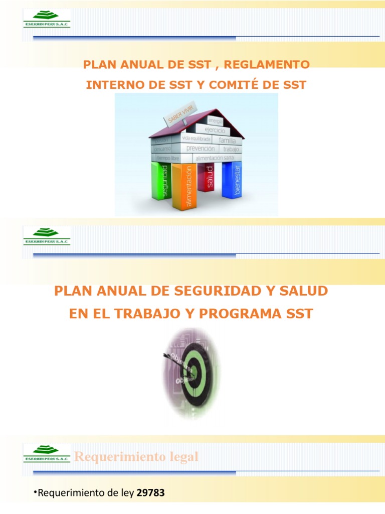 Plan Anual de SST, Reglamento Interno de SST y Comité de SST | PDF