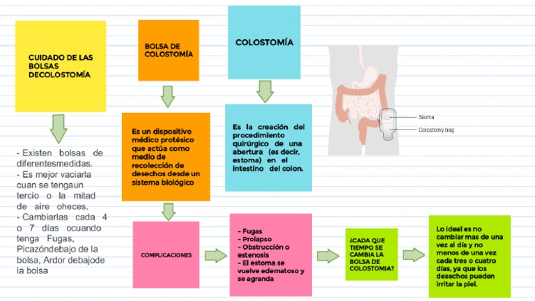Colostomia | PDF