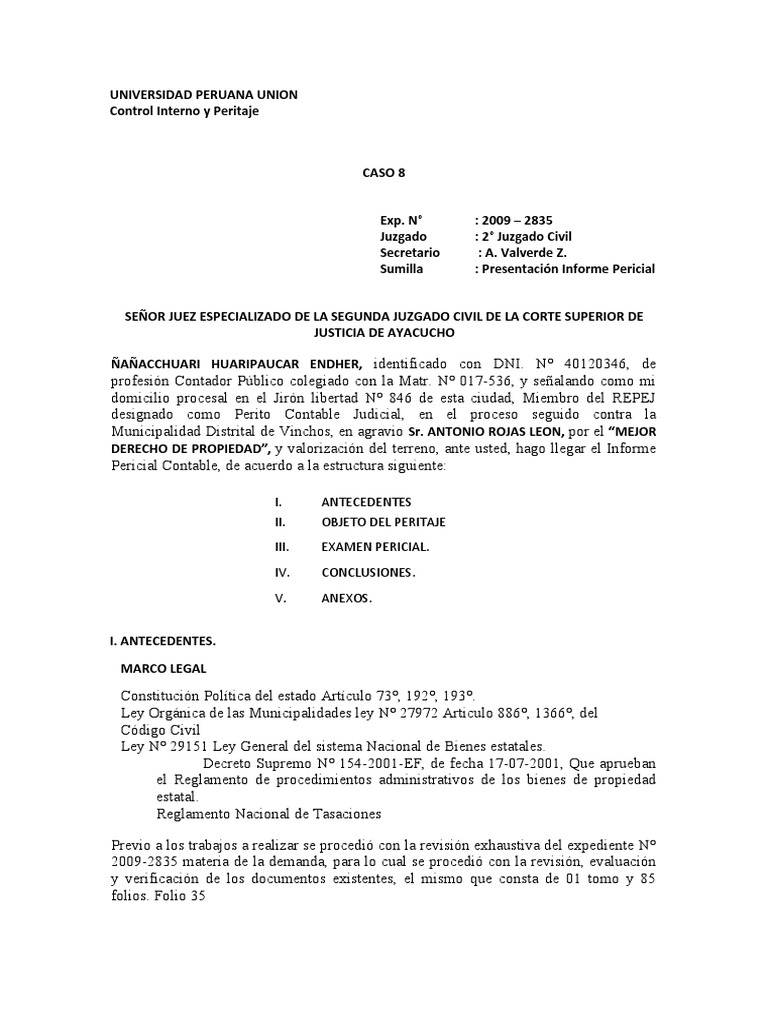 Caso N°8 - Informe de Peritaje | PDF | Testigo experto | Experto