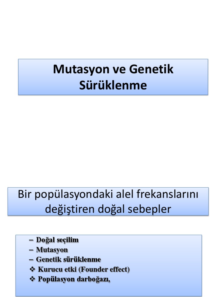 Evolüsyon Ders 3 | PDF