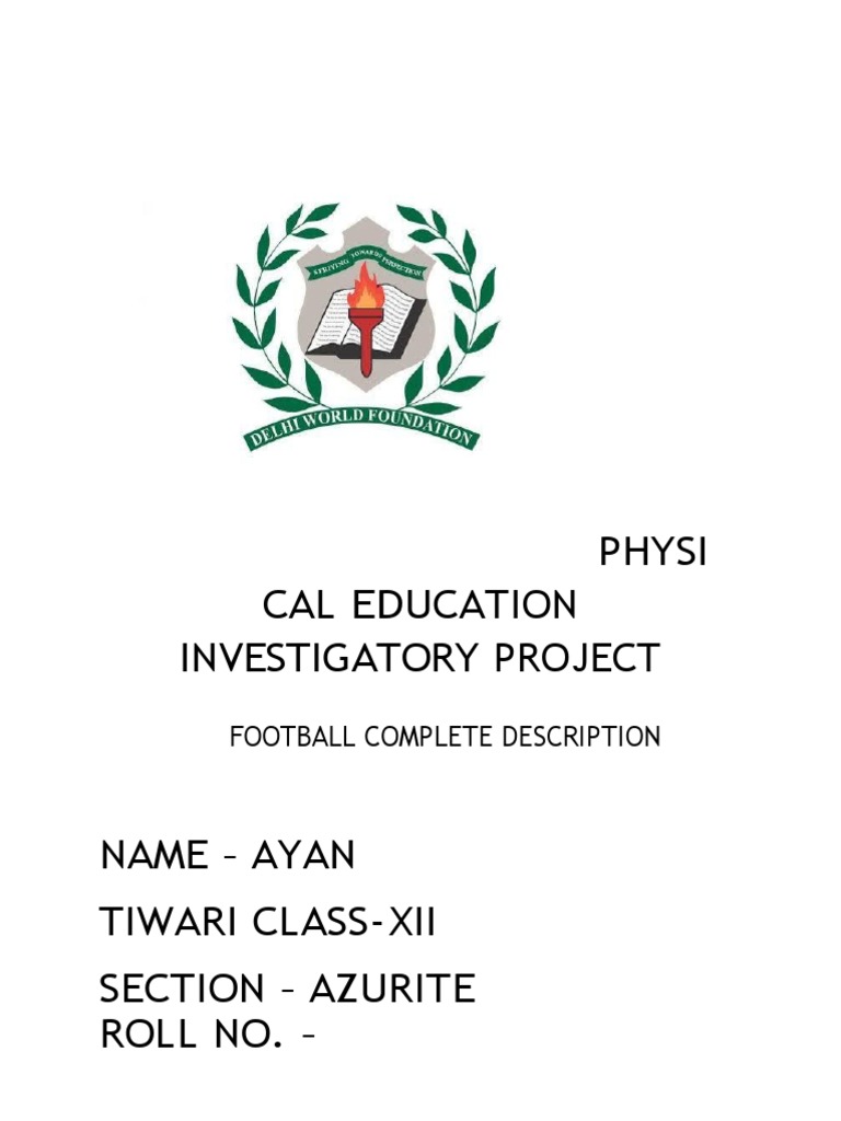 Physical Education Project Class 12 | PDF | Association Football ...