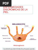 Depósito de Pigmentos Endógenos y Exógenos | PDF | Biología | Medicina ...