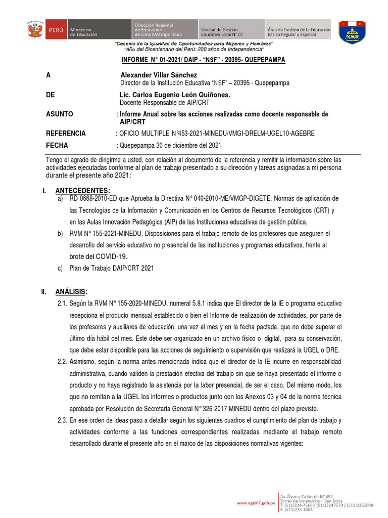 Informe Final Del Aip 2021 | PDF