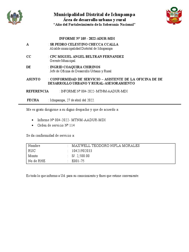 Informe Modelo | PDF