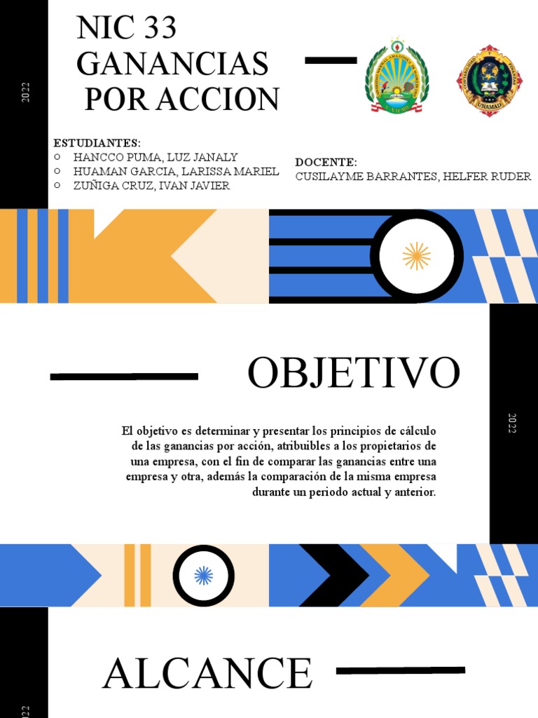 Nic 33 | PDF | Compartir (Finanzas) | Opción (Finanzas)