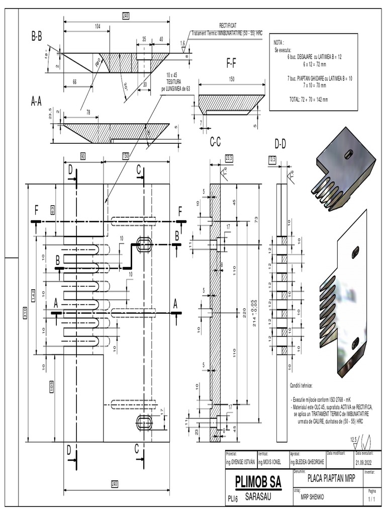 Placa Piaptan Shenko | PDF