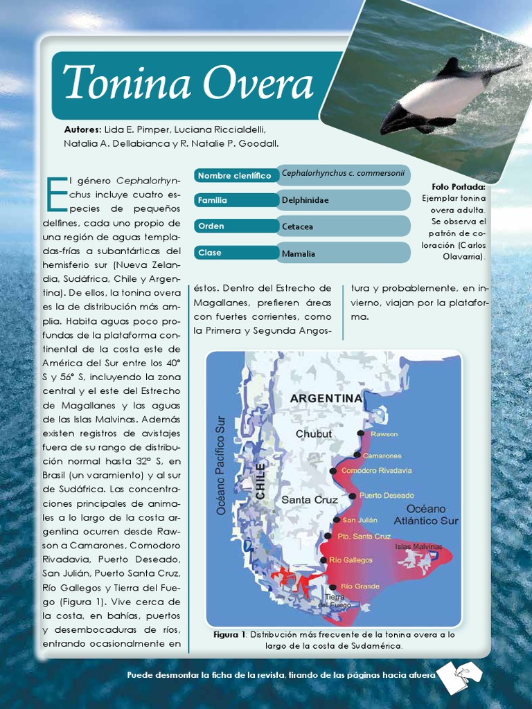 Características de la Tonina Overa | PDF | Cetáceos | Delfín