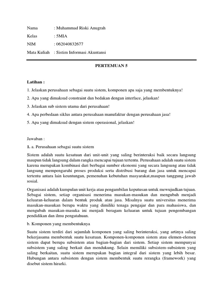 Muhammad Riski Anugrah - 5MIA - Sistim Informasi Akuntansi - Pertemuan 5 | PDF | Bisnis ...
