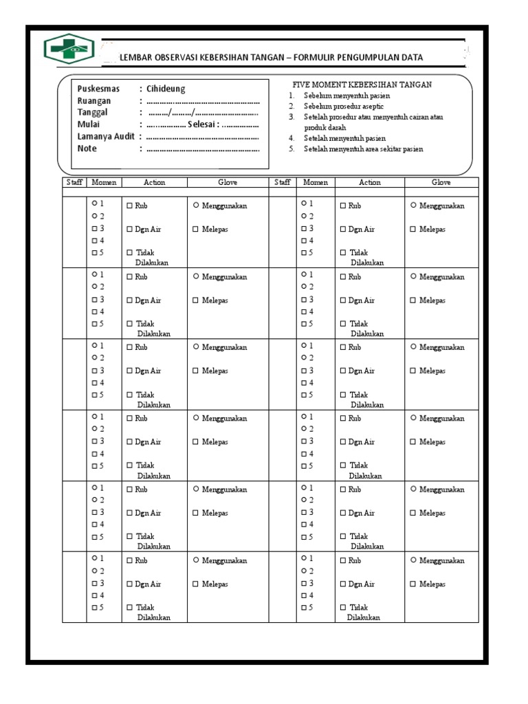 Audit Checklist Hand Hygiene | PDF
