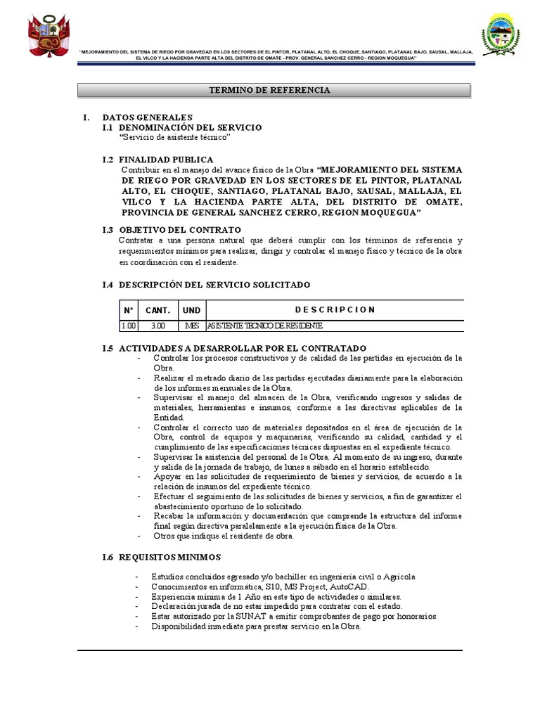 TDR Asistente Tecnico | PDF | Finanzas y dinero