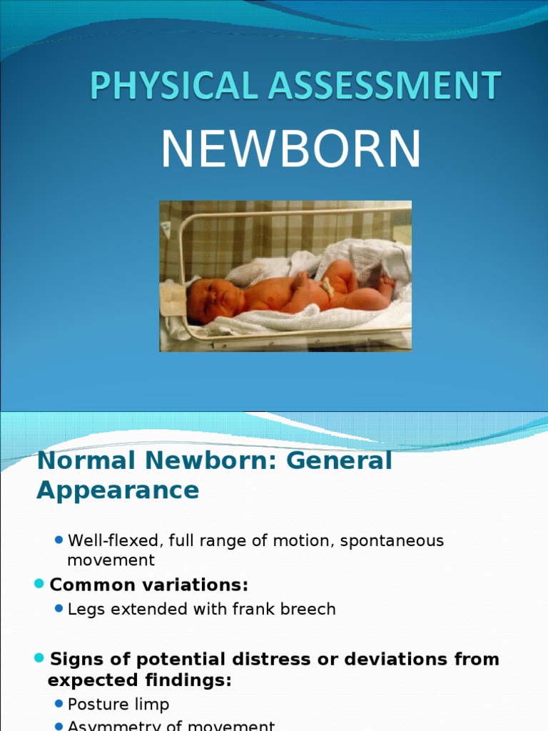 Newborn Physical Assessment Guide | PDF | Labia | Infants