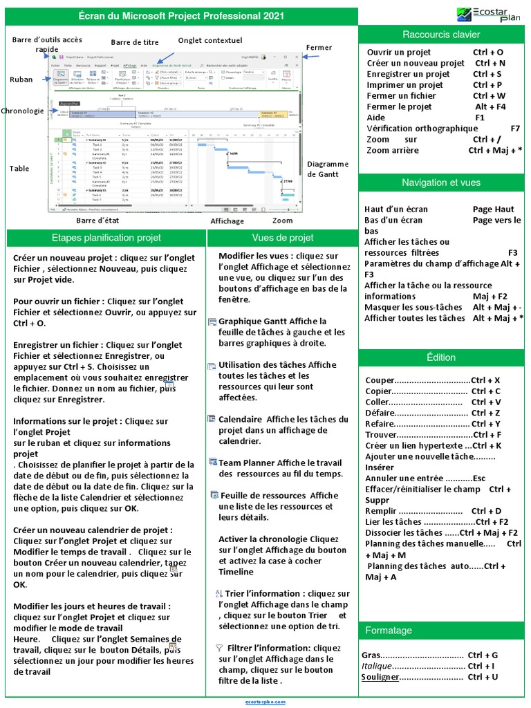 Reference Rapide de Microsoft Project Professional 2021 | PDF ...
