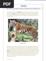 Lion vs Tiger: Mass Comparison Analysis | PDF | Tiger | Lion