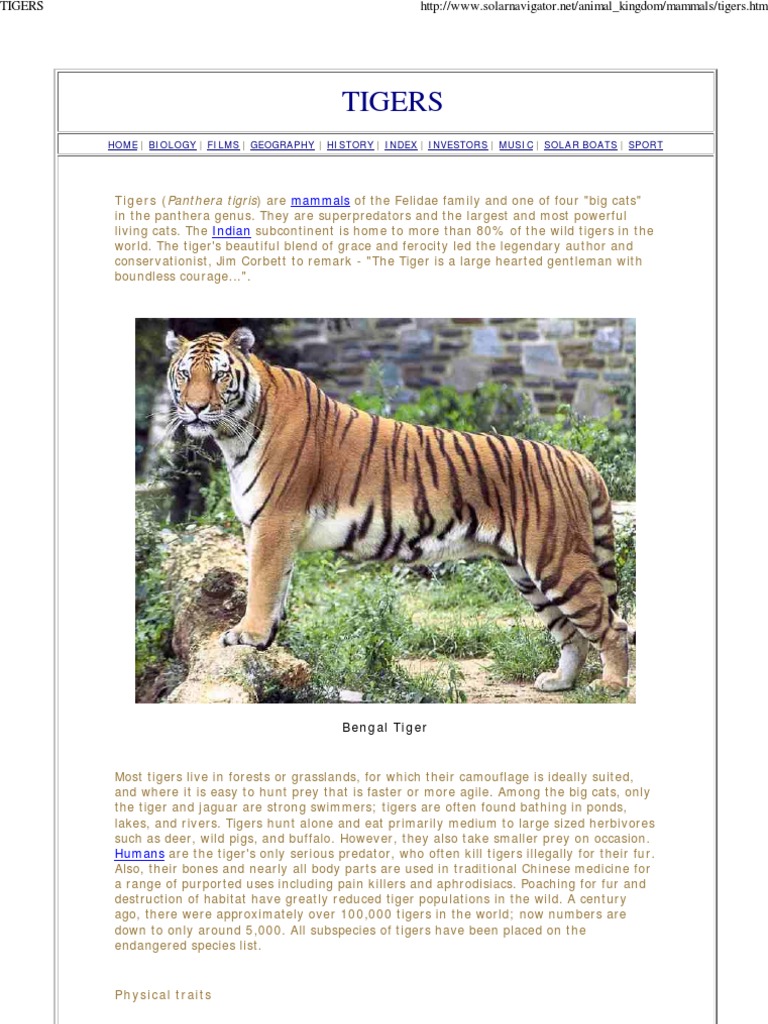 Tigers | PDF | Tiger | Panthera