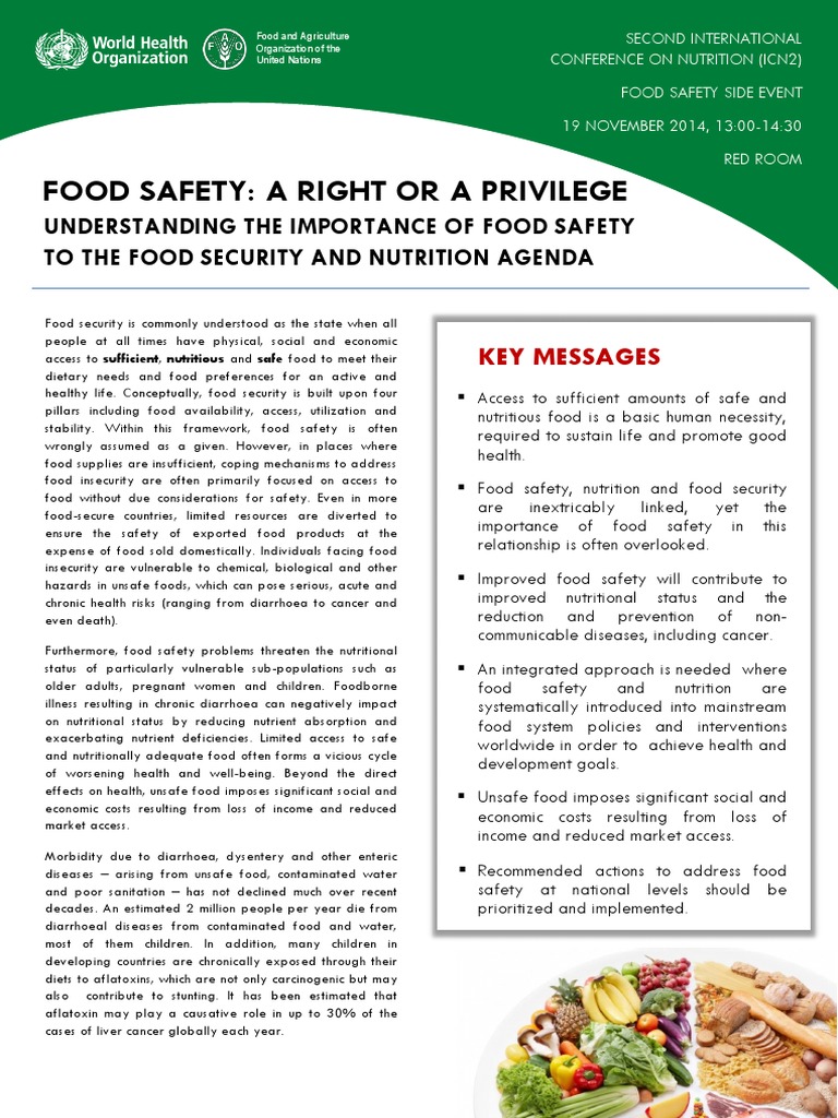 Food Safety FAO Paper | Download Free PDF | Food Security | Food Safety