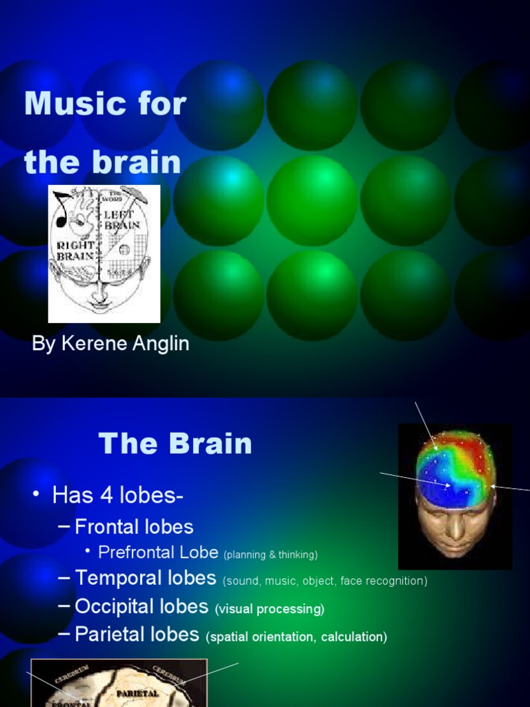 Music For The Brain | PDF | Brain | Neuron