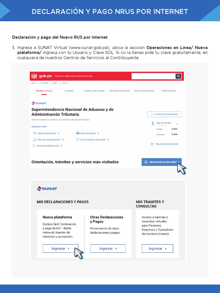 Pasos para obtener el nuevo Rus | PDF