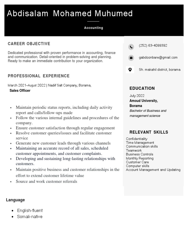 Aspiring Accounting Professional Seeks New Opportunities to Utilize Skills in Finance ...