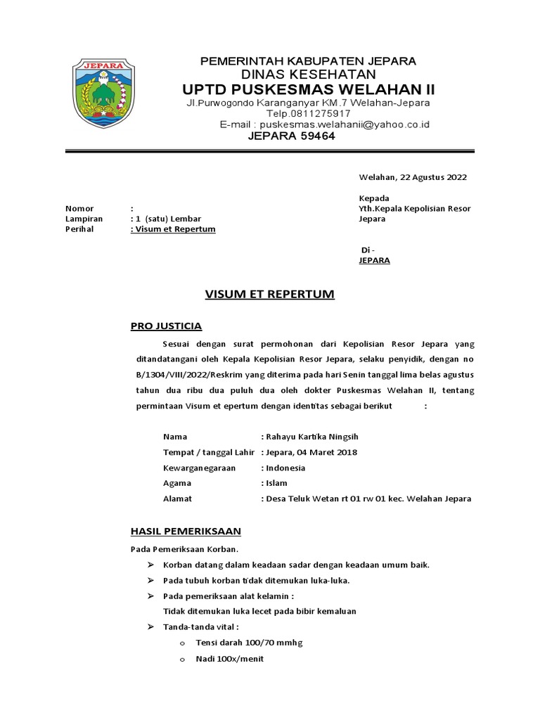 Visum Rahayu | PDF