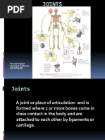 Trident II Tritanium Surgical Protocol | PDF | Pelvis | Screw