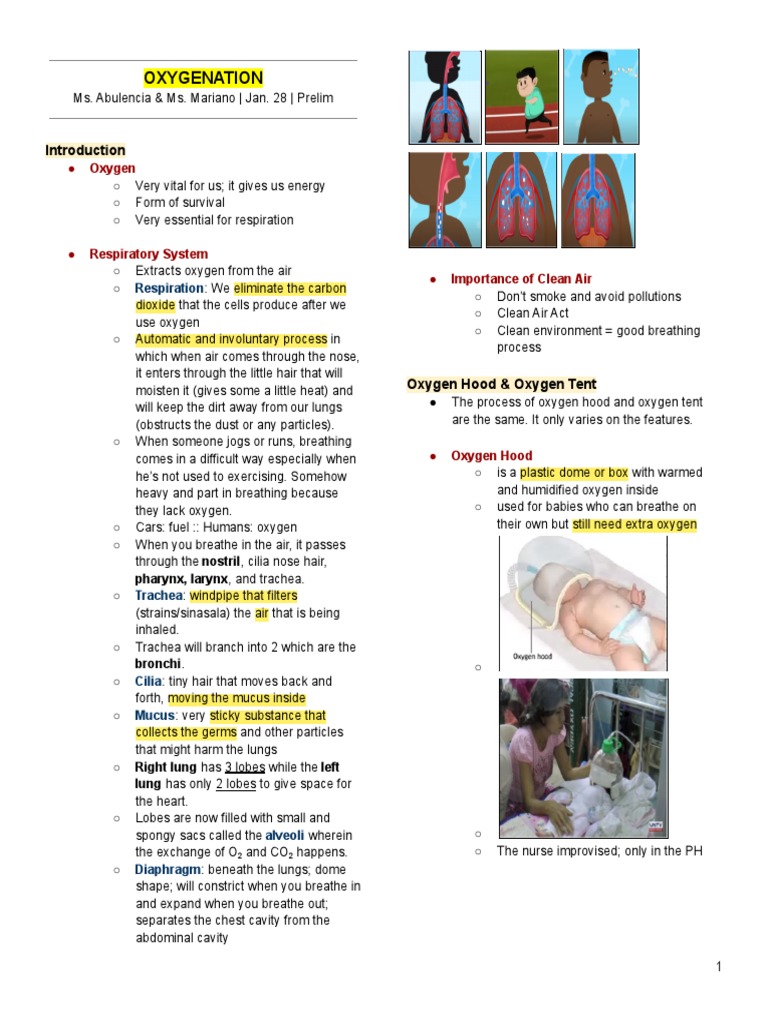 RLE - Reviewer - Oxygenation | PDF | Breathing | Respiratory System