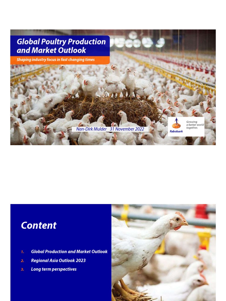 Global Poultry Production and Market Outlook 2030 | PDF | Meat | Avian ...