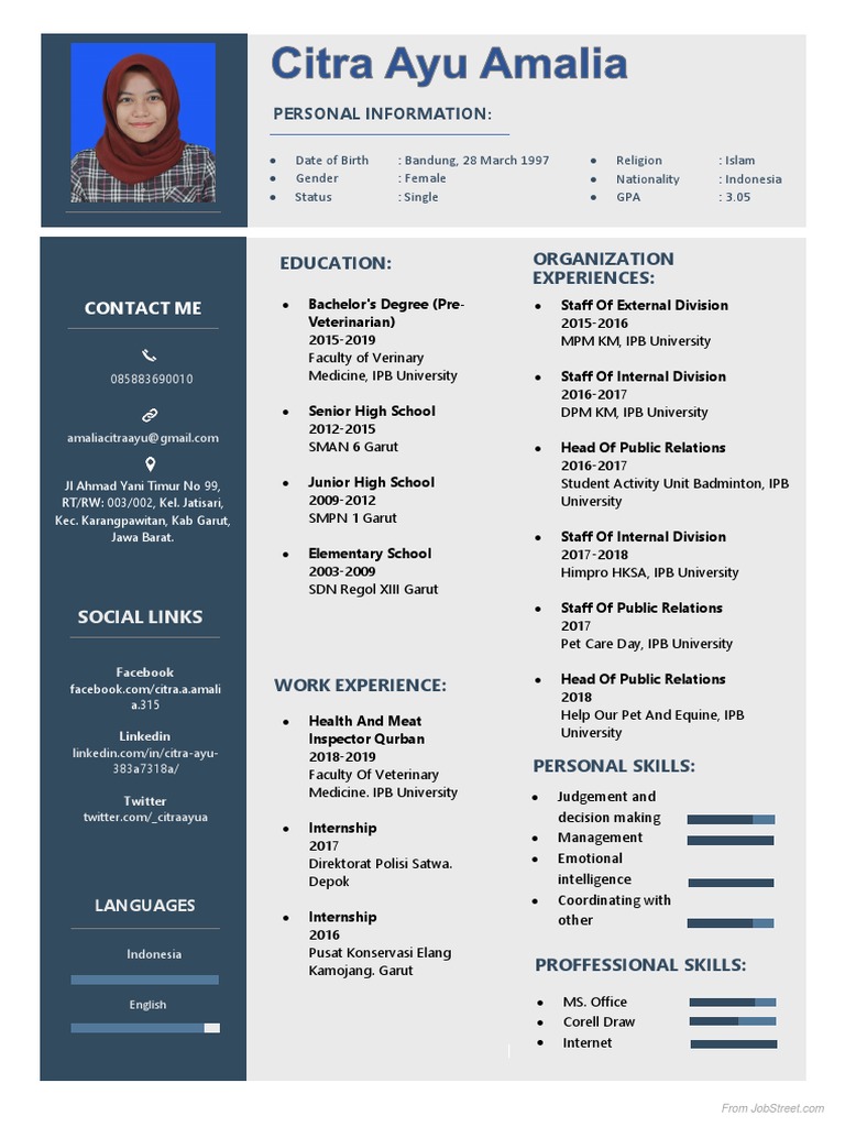 Contoh CV Gray & Dark | PDF
