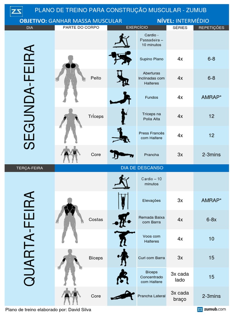 Plano De Treino De Academia Para Homens Como Dividir Os Dias Da