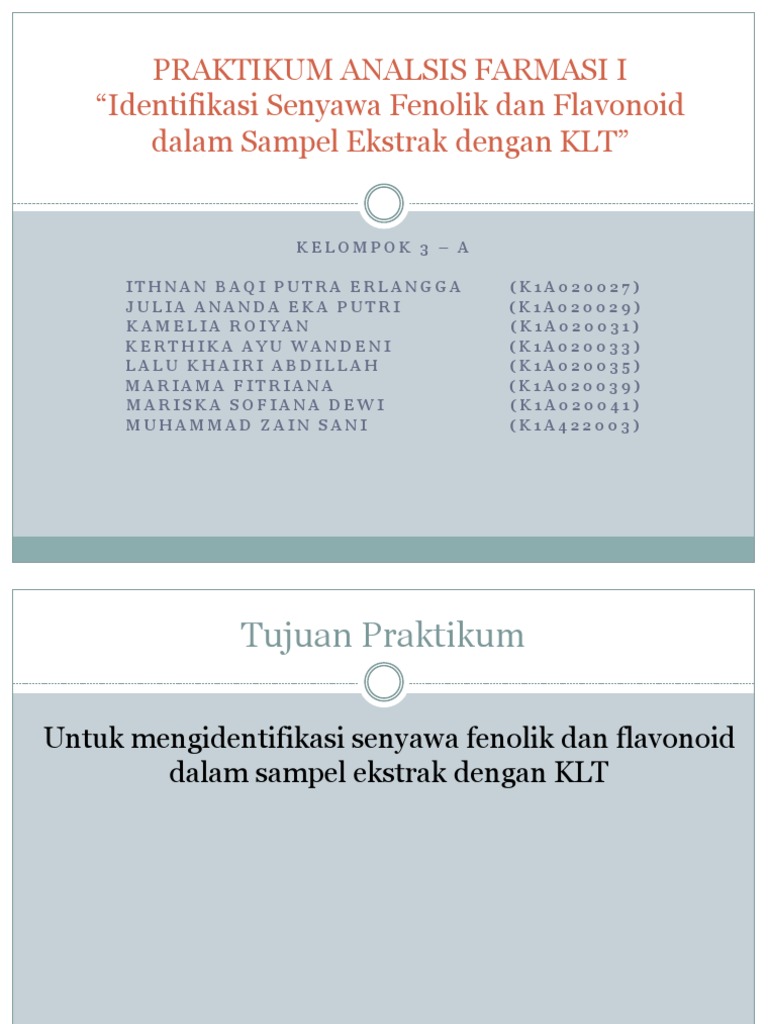 KLT Kelompok 3a | PDF