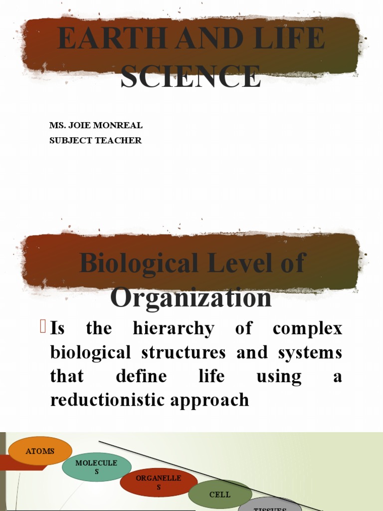Levels of Biological Organization | PDF | Life | Organisms