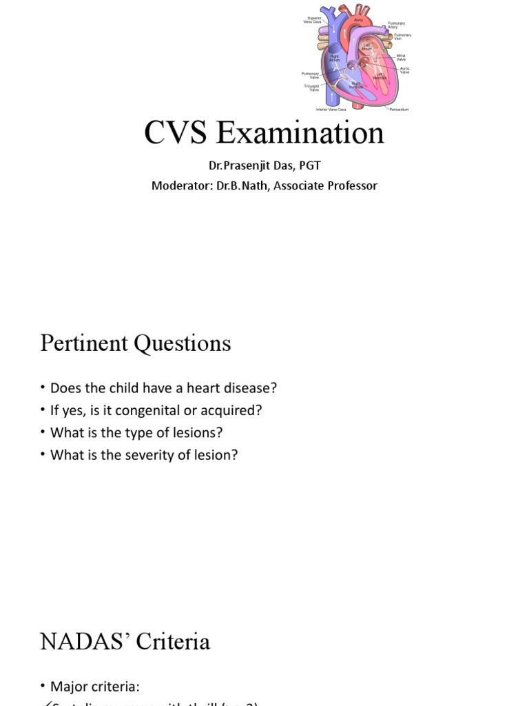 CVS Examination | PDF | Heart | Cardiovascular Diseases