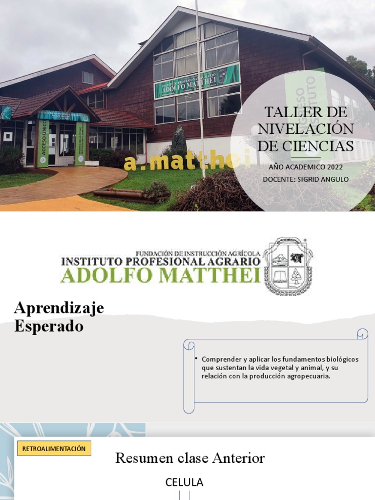 1 Membrana Celular Pdf