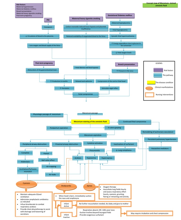 Document Analysis and Data Processing | PDF