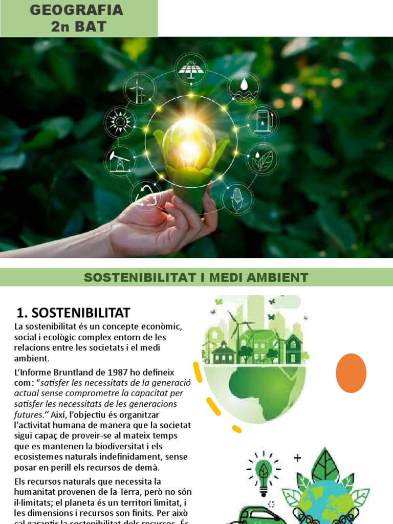 03 Sostenibilitat I Medi Ambient | PDF