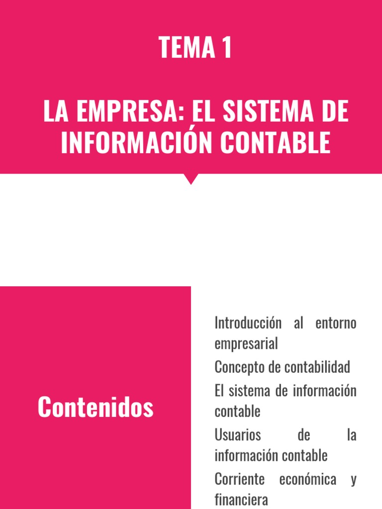 Tema 1 La Empresa El Sistema de Información Contable | PDF | Contabilidad | Sociedad
