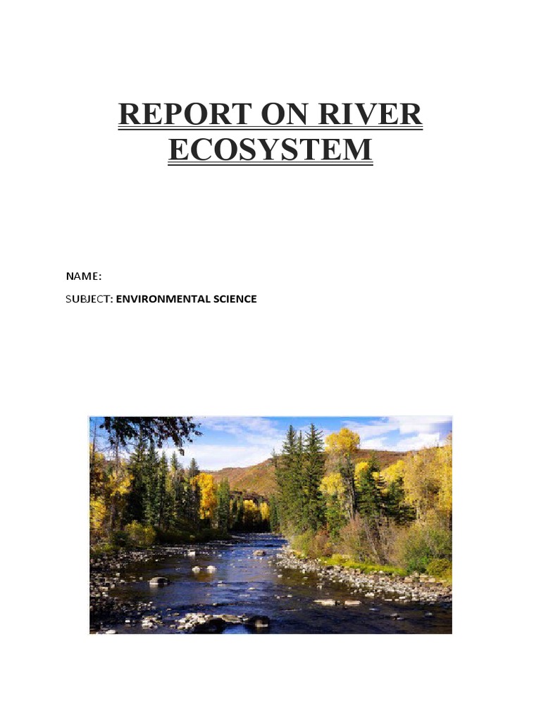 Tapi River Basin Ecosystem Report | PDF | Sewage | Ecology