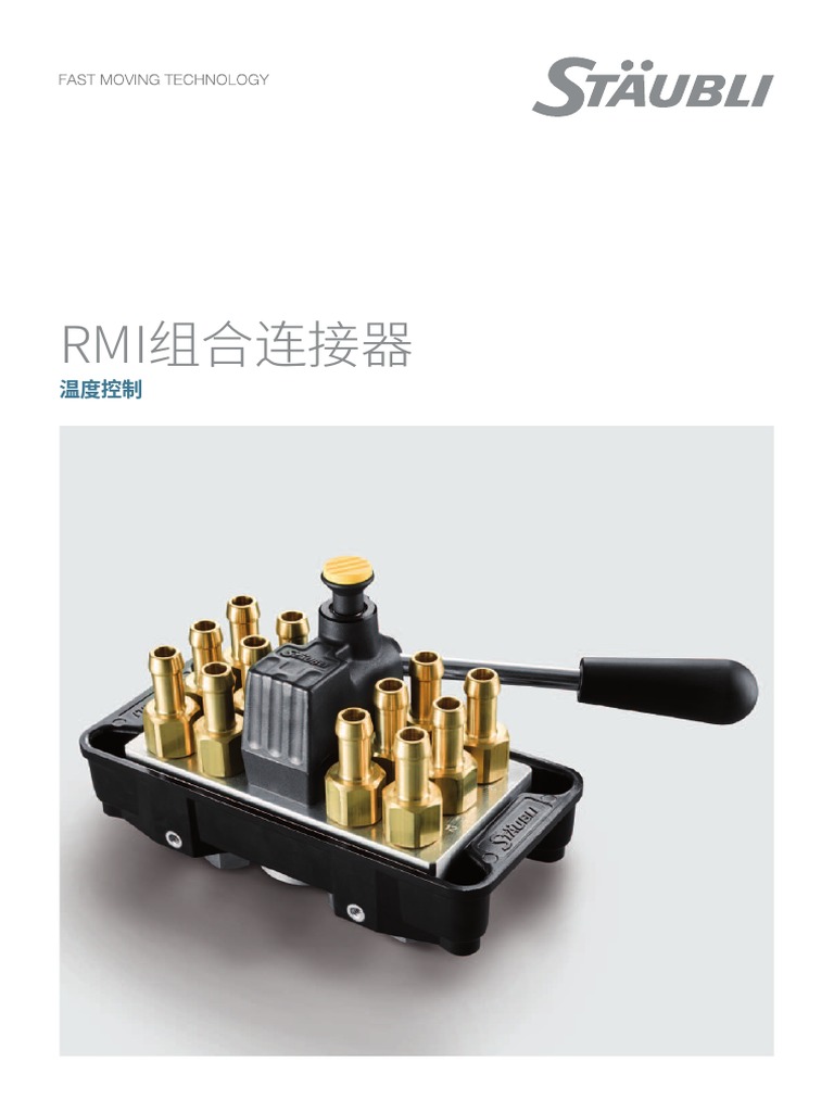 Rmi Multi Temperature Control Multi Couplings Staubli CN | PDF