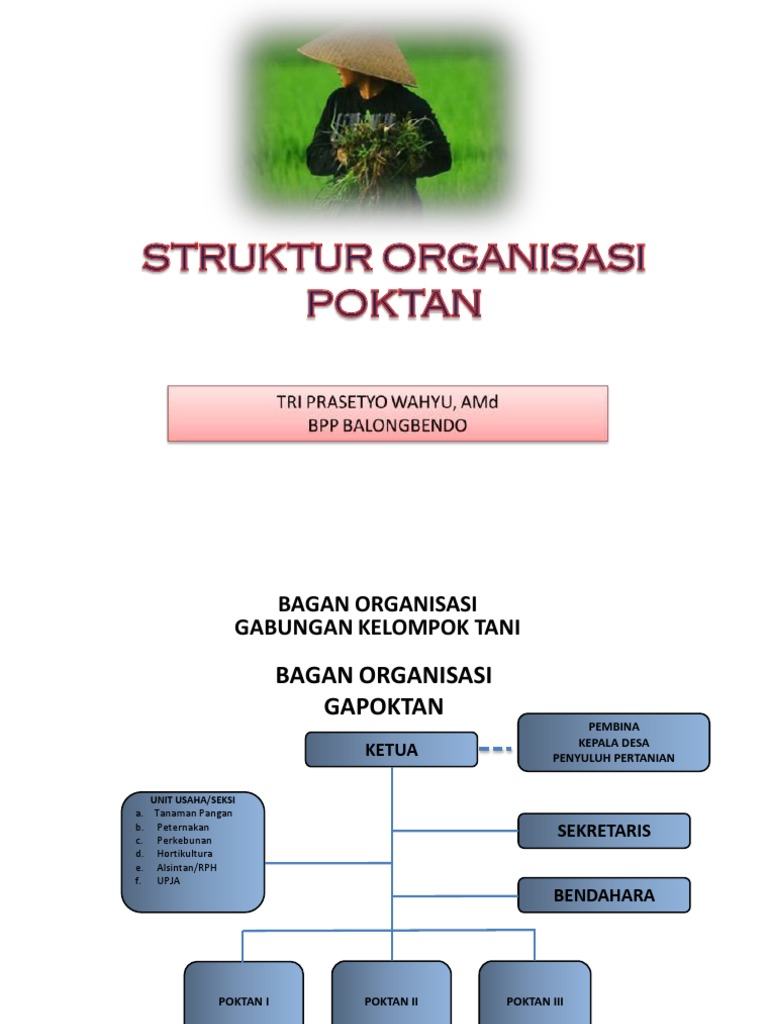 Struktur Organisasi Poktan | PDF
