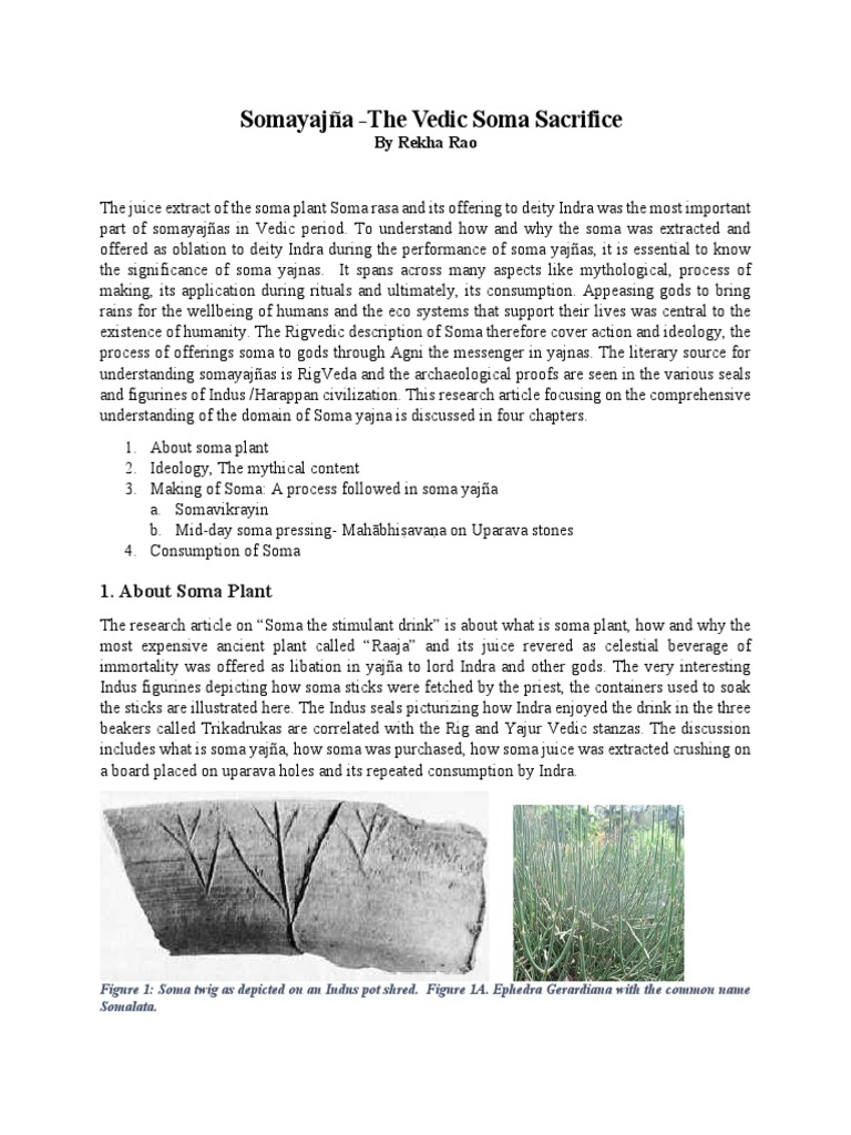 Somayajna_The_Vedic_Soma_Sacrifice | PDF | Vedas
