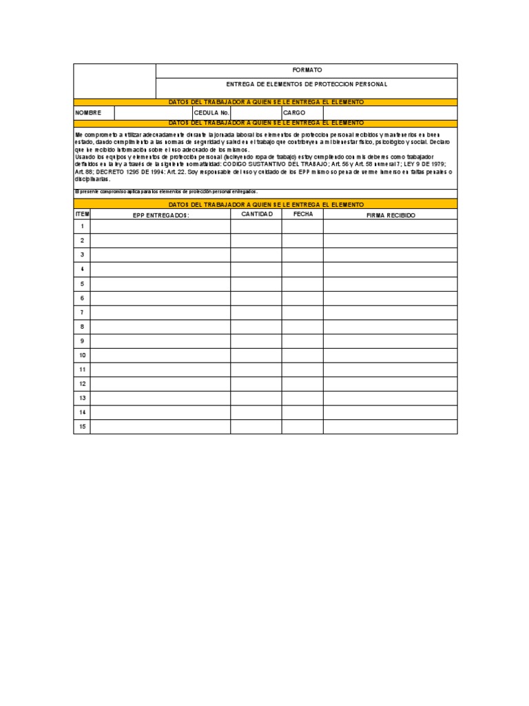 Formato de Entrega de Epp | PDF