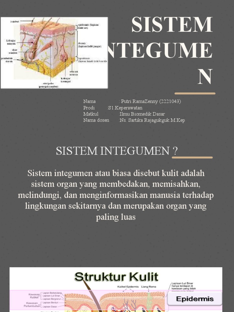 Biomedik Sistem Integumen | PDF