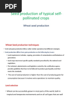 Field Inspection Techniques Ifad-Casp | PDF | Sowing | Agriculture