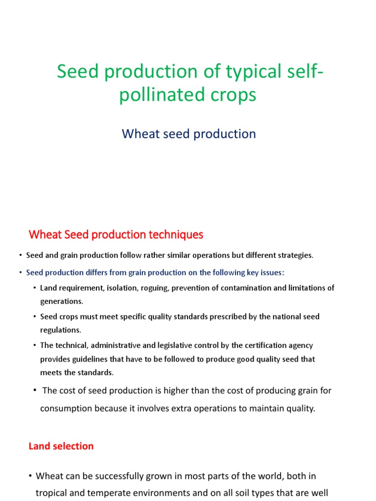 Seed Production in Self Pollinated Crops - Wheat | PDF | Wheat | Seed