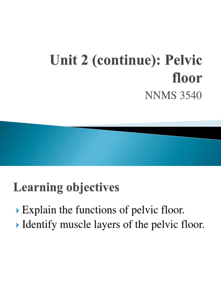 Unit 2 Pelvic Floor | PDF