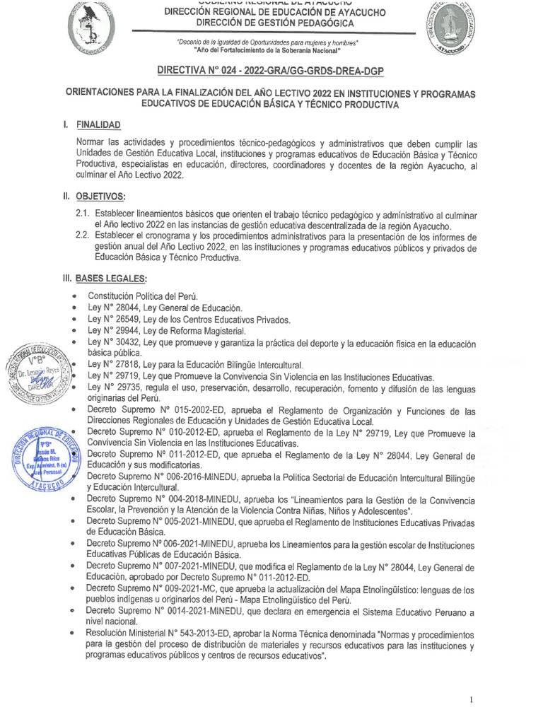 1.directiva 024 2022 Drea DGP DR | PDF