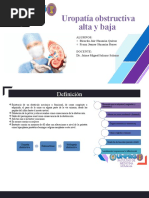 Obstrucción y Estasis Urinaria | PDF | Vejiga urinaria | Urología