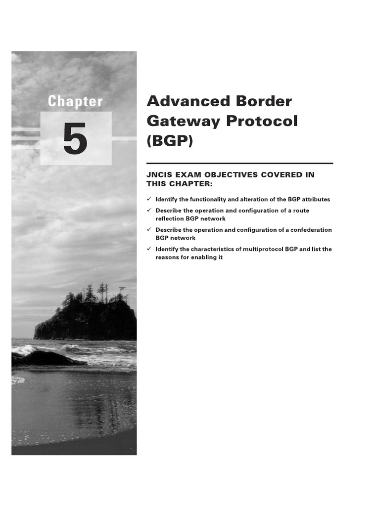 6.JNCIS Studyguide BGP | PDF