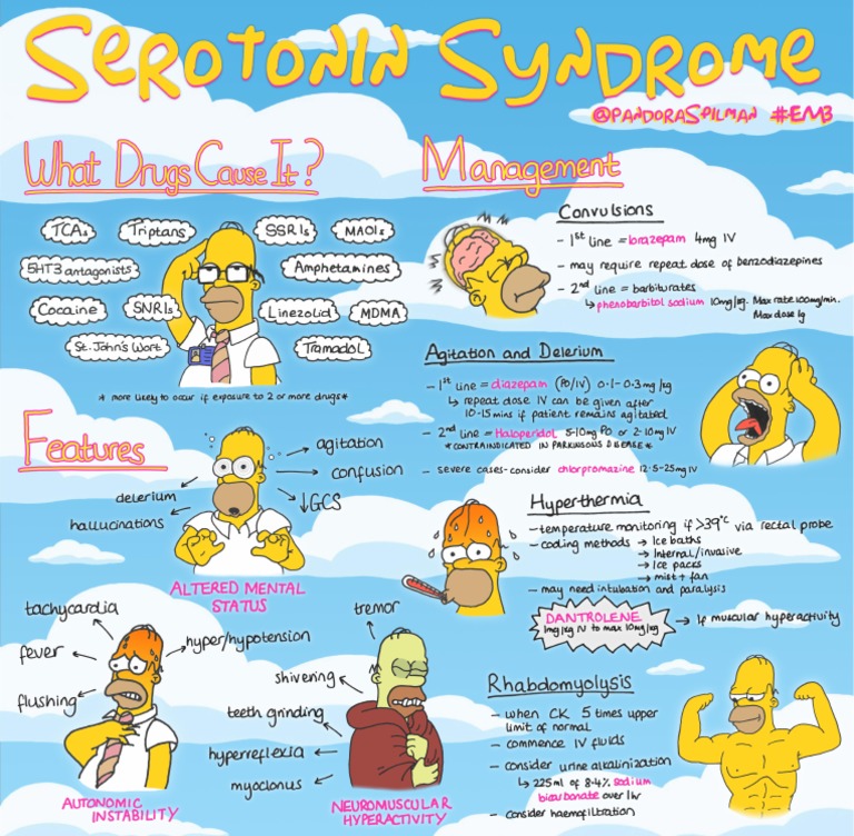 Serotonin+Syndrome+(Infographic) | PDF