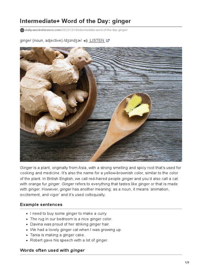 Intermediate Word of The Day Ginger | PDF | Red Hair | English Language